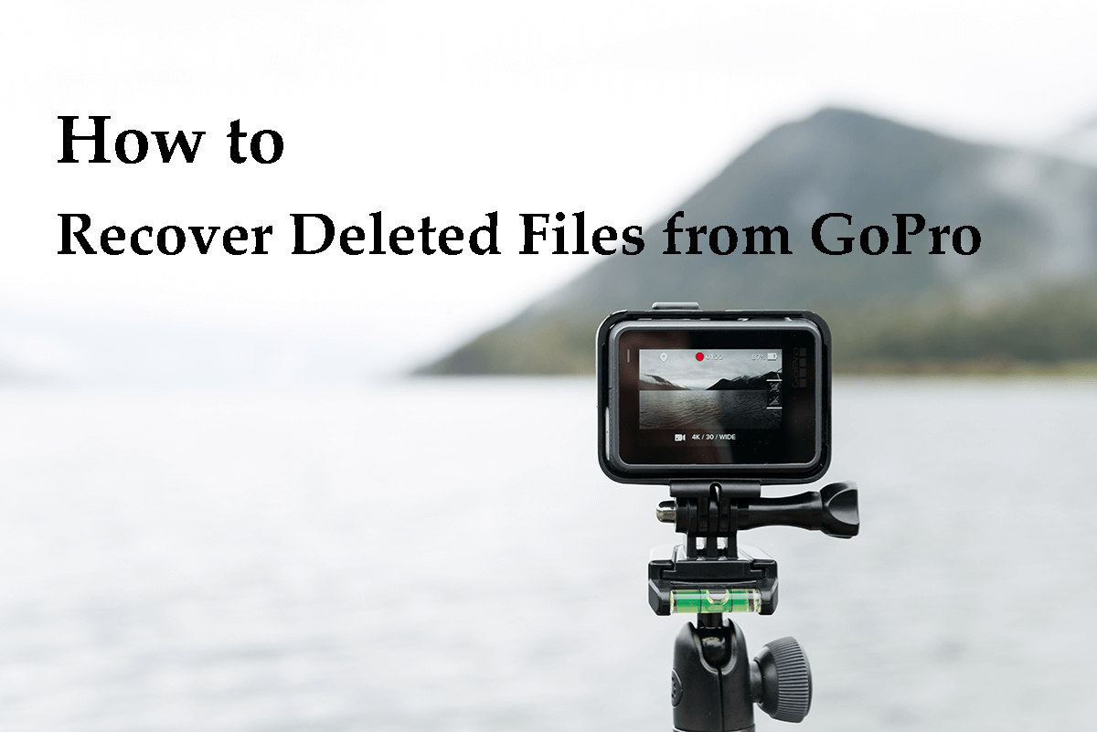 How to Recover Deleted Files from GoPro • Bitwar Data Recovery